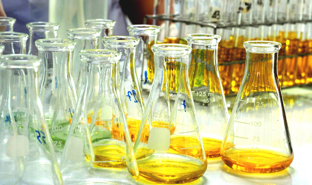 Programs | Bachelor of Science